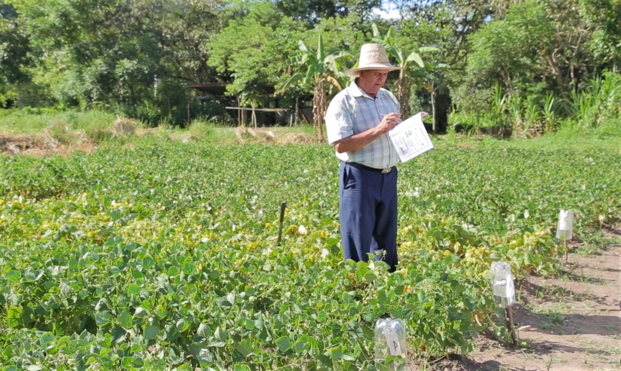 Climmob – Online software for agricultural citizen science